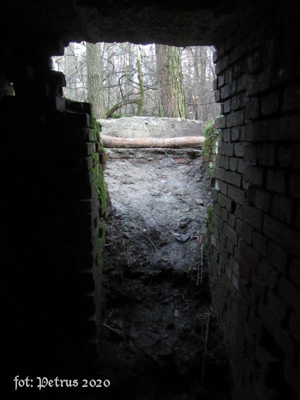 Zobacz wątek - Bunkier w Lesie Obora - Racibórz • Eksploratorzy