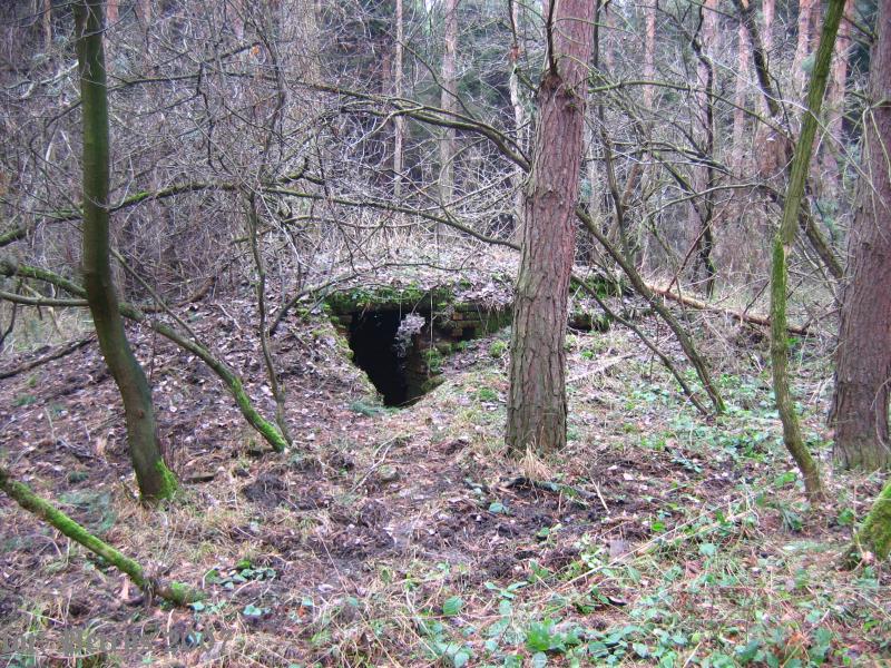 Zobacz wątek - Bunkier w Lesie Obora - Racibórz • Eksploratorzy